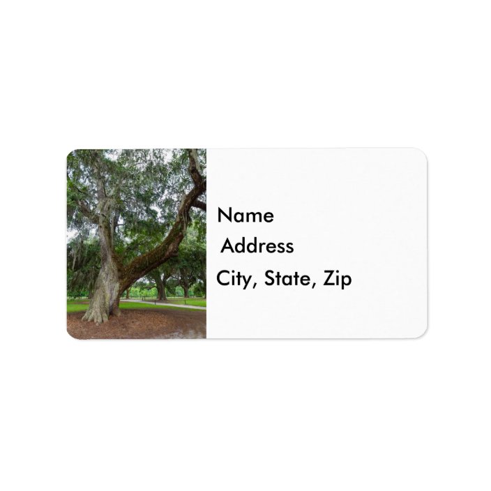 An Old Oak Tree Label | Zazzle.com