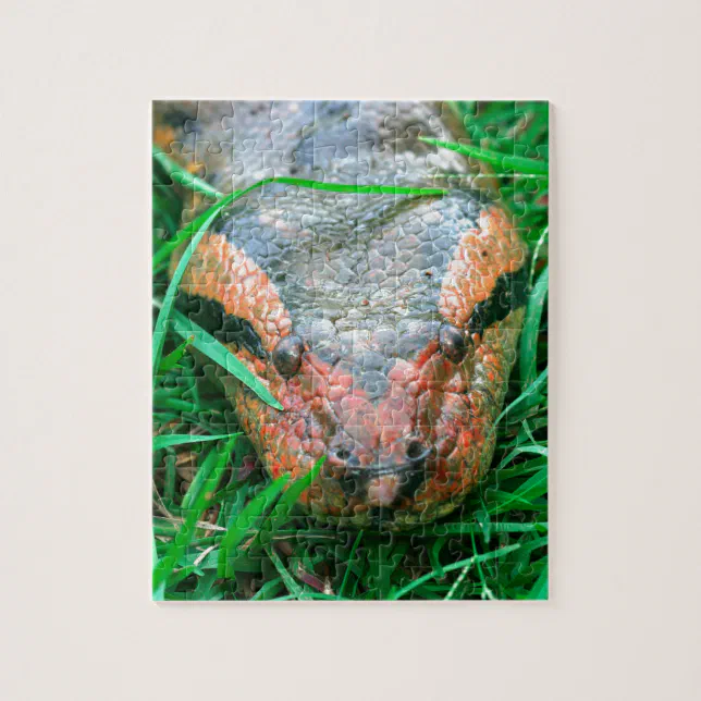 Anaconda snake jigsaw puzzle | Zazzle