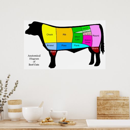 Anatomical Diagram of American Primal Beef Cuts Poster | Zazzle