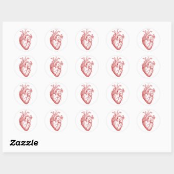 Anatomical Heart Classic Round Sticker | Zazzle