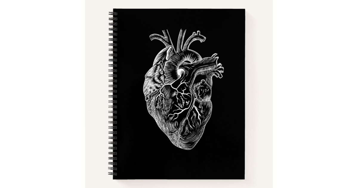 Anatomical Heart Drawing Notebook | Zazzle