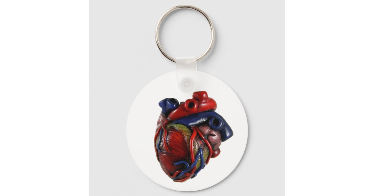 Anatomical Heart Keychain | Zazzle