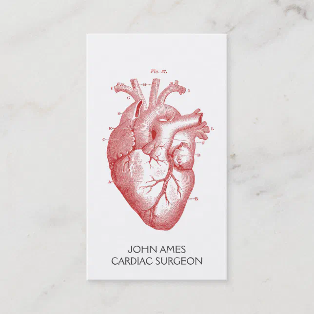 Anatomical Heart Medical Cardiac Surgeon Business Card | Zazzle
