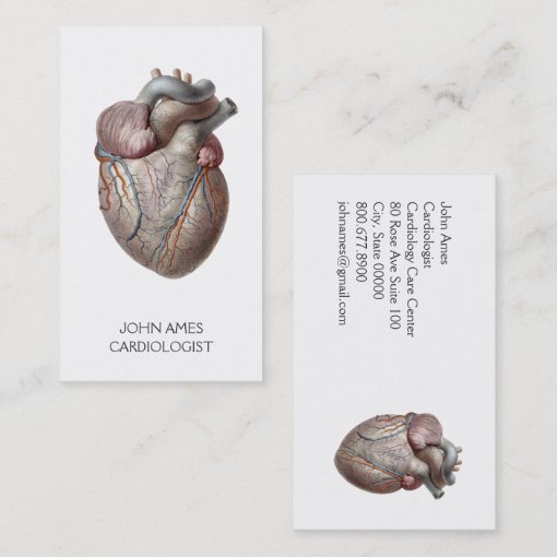 Anatomical Heart Medical Cardiology Business Card | Zazzle