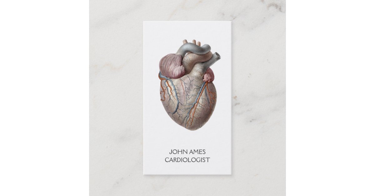 Anatomical Heart Medical Cardiology Business Card | Zazzle