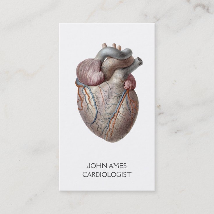 Anatomical Heart Medical Cardiology Business Card | Zazzle