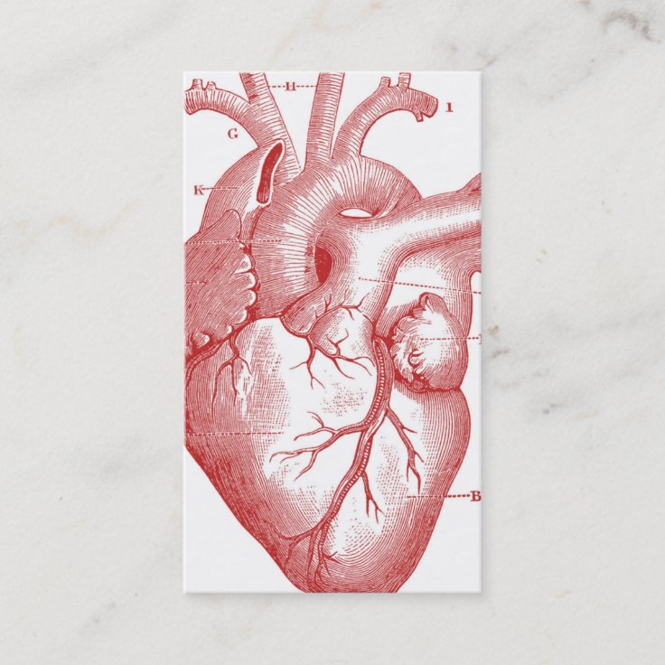 Anatomical Heart Profile or Business Card | Zazzle