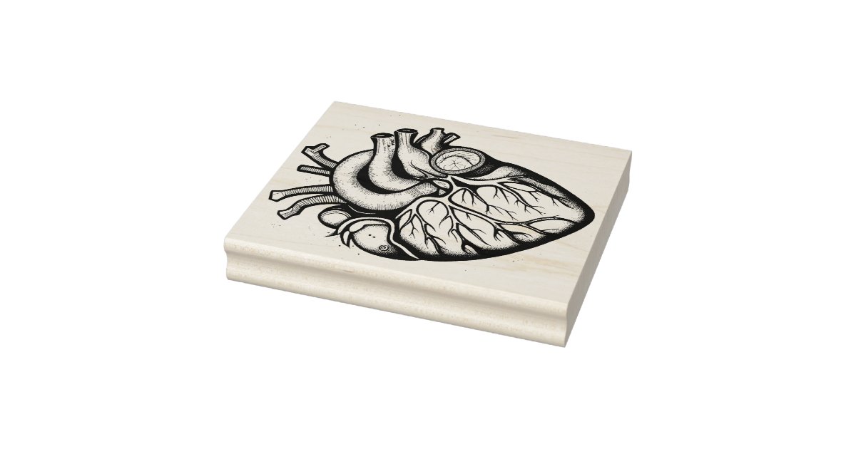 Anatomical Heart Rubber Stamp | Zazzle