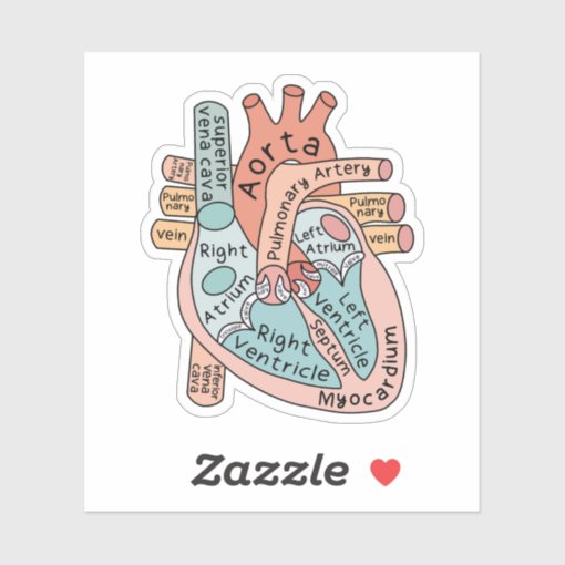 Anatomical Heart Sticker, Cardiac ICU Nurse Gift Sticker | Zazzle