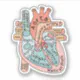 Anatomical Heart Sticker, Cardiac ICU Nurse Gift Sticker | Zazzle