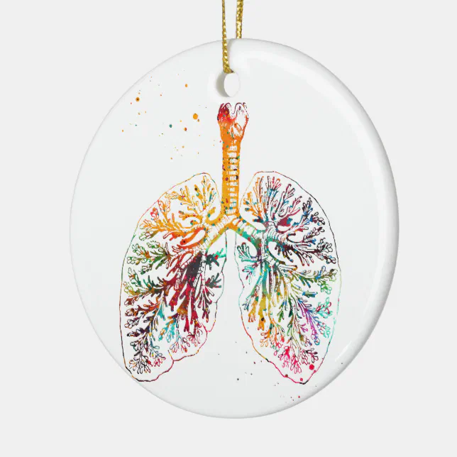 Anatomical Lungs Ceramic Ornament | Zazzle