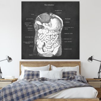 Anatomy Art Intestine Gastroenterologist Decor | Zazzle
