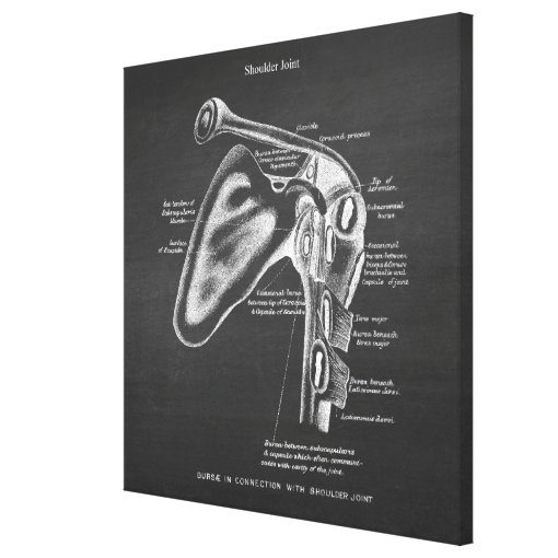 Anatomy Art no.1 Shoulder Joint Canvas Print | Zazzle