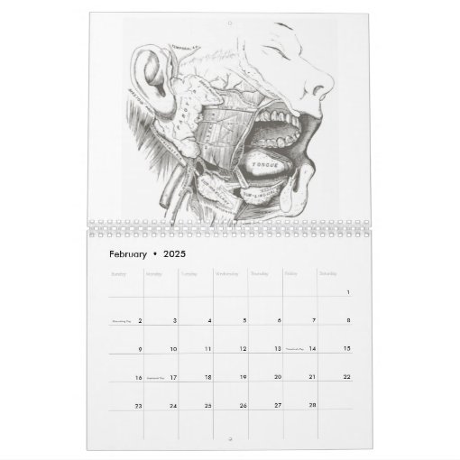 Anatomy Calender Calendar | Zazzle