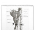 Anatomy Calender Calendar | Zazzle