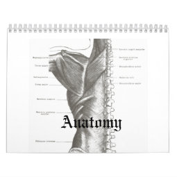 Anatomy Calender Calendar | Zazzle