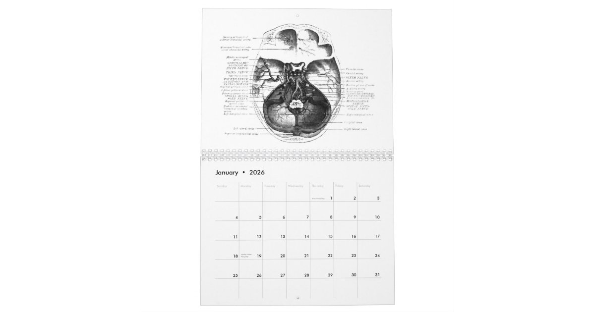 Anatomy Calender Calendar | Zazzle