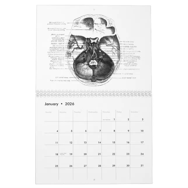 Anatomy Calender Calendar | Zazzle