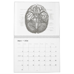 Anatomy Calender Calendar | Zazzle
