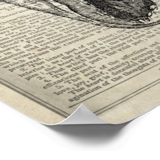 Anatomy Dictionary Art Heart and Flowers Poster | Zazzle