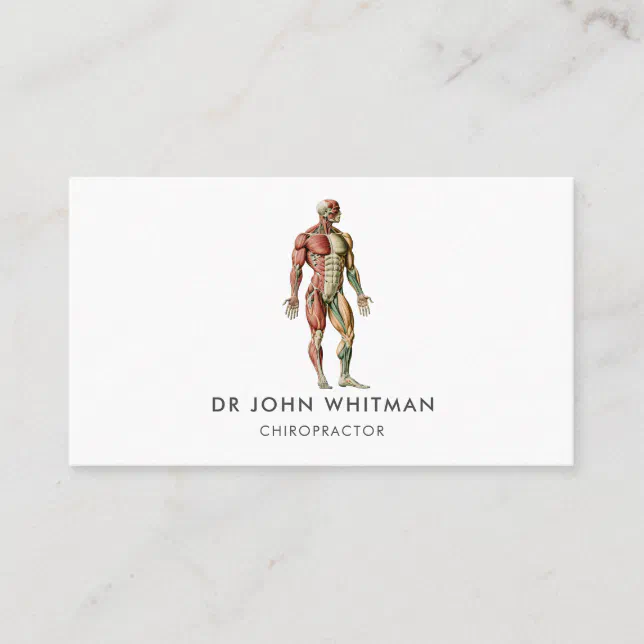 Anatomy Muscles Chiropractor Business Card | Zazzle