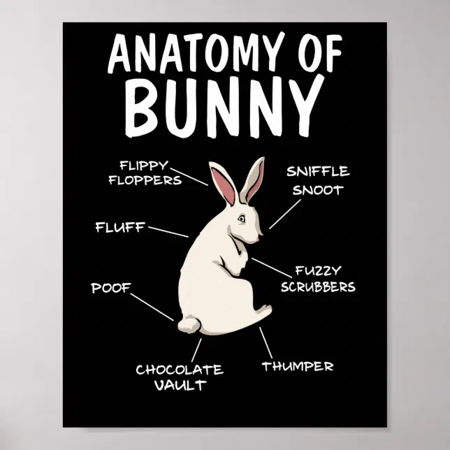 Anatomy of a Bunny Funny Rabbit Definition Poster | Zazzle
