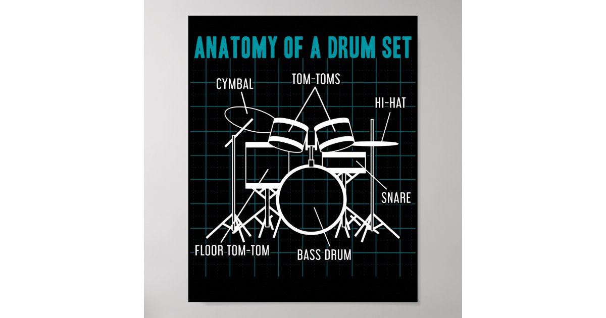 Anatomy Of A Drum Set Drummer Musician Drumsticks Poster Zazzle