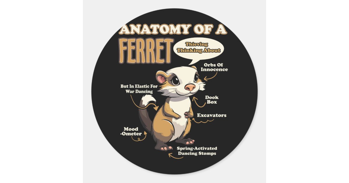 Anatomy Of A Ferret Lover Wildlife Animal Ferret O Classic Round ...