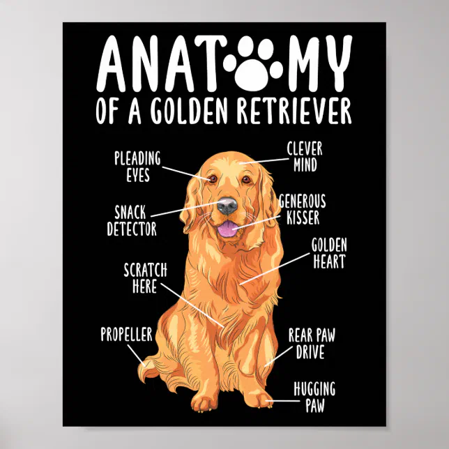 Anatomy of a Golden Retriever Mom Dad Poster | Zazzle