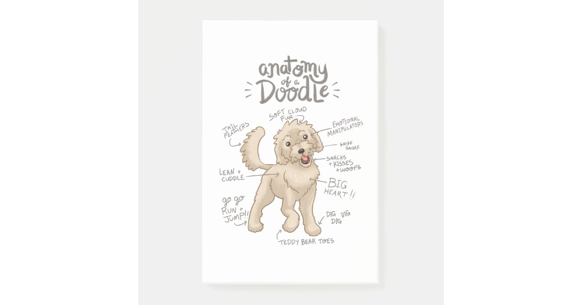 Anatomy of a Goldendoodle Post-it Notes | Zazzle
