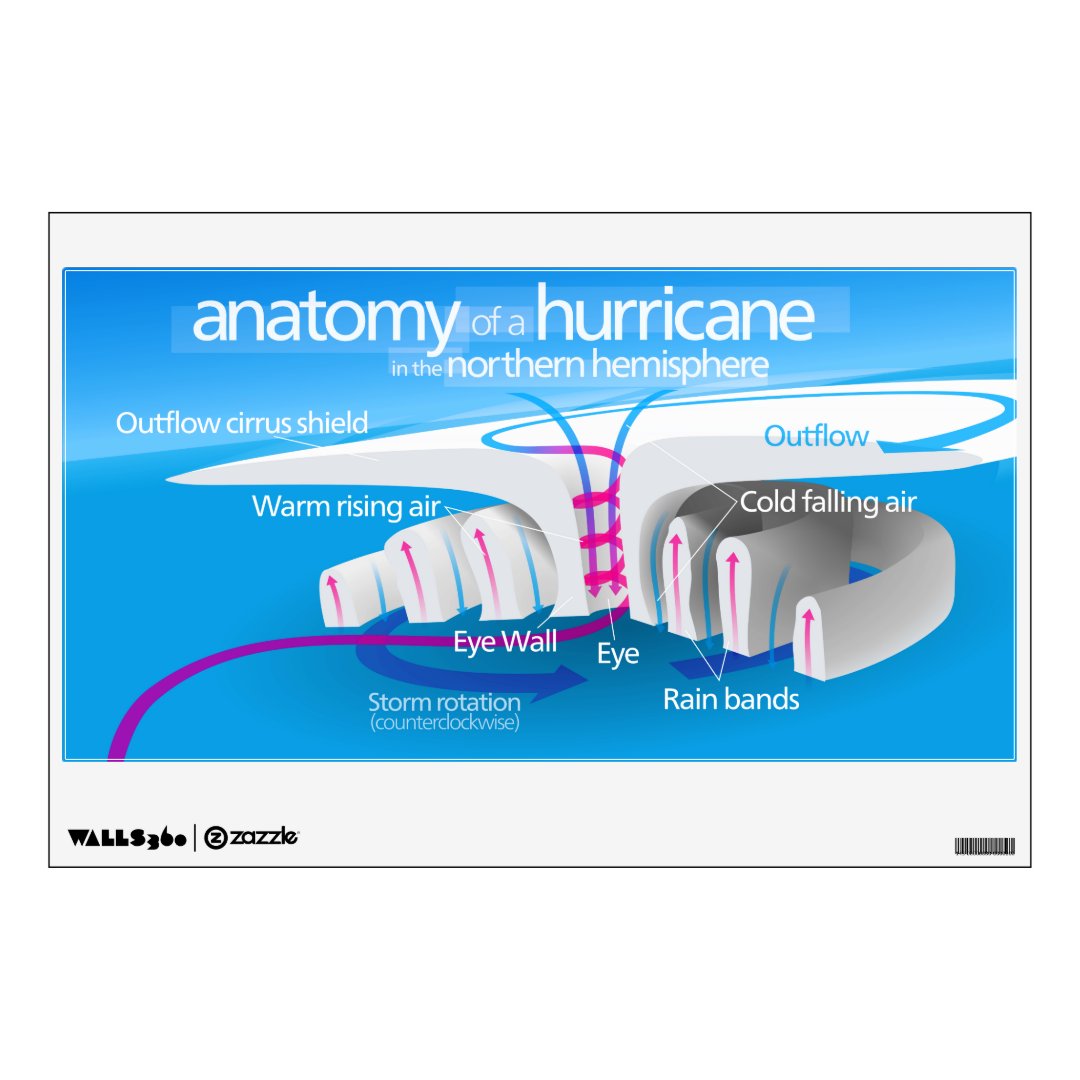 Anatomy of a Hurricane Diagram Wall Sticker | Zazzle