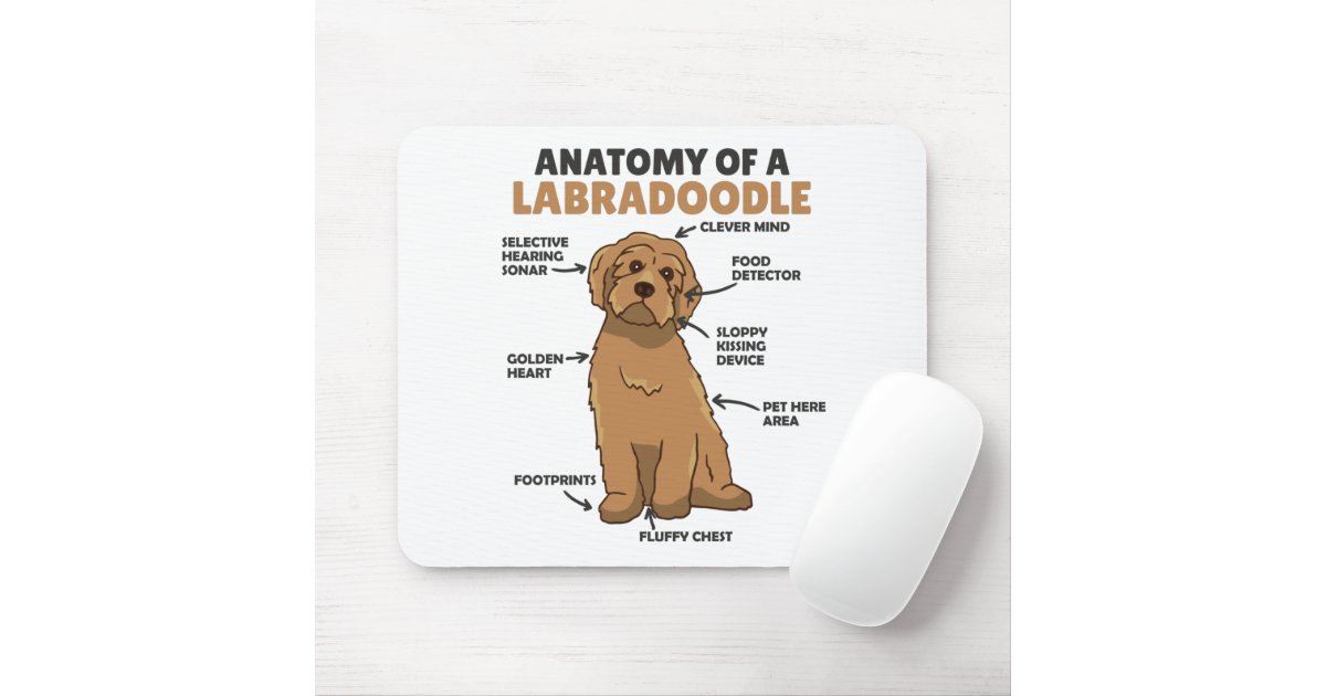 Anatomy Of A Labradoodle Cute Canine Puppy Mouse Pad | Zazzle