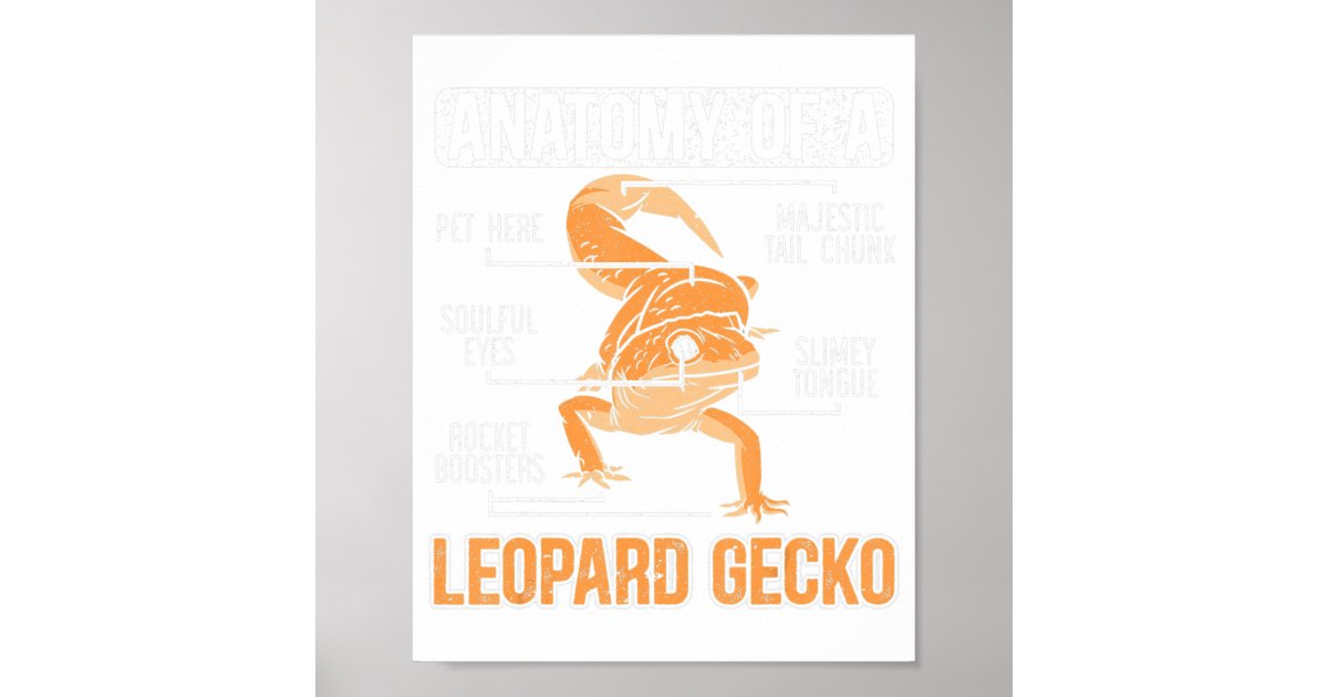 Anatomy Of A Leopard Gecko Lover Lizard Animal Rep Poster | Zazzle