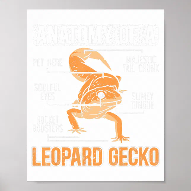 Anatomy Of A Leopard Gecko Lover Lizard Animal Rep Poster | Zazzle