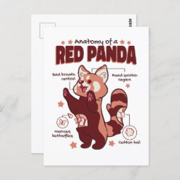 Anatomy of a Red Panda Animal Lover Postcard | Zazzle
