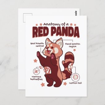 Anatomy of a Red Panda Animal Lover Postcard | Zazzle