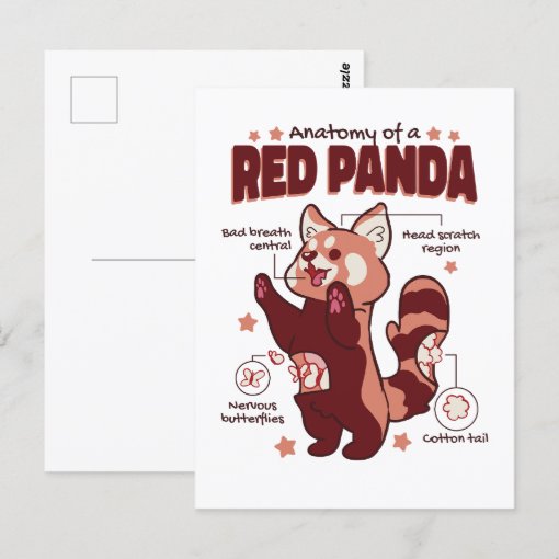 Anatomy of a Red Panda Animal Lover Postcard | Zazzle
