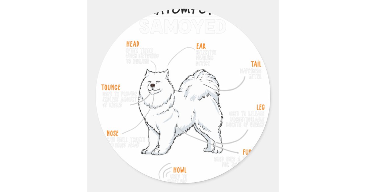 Anatomy Of A Samoyed Dog Funny Dog Lover Gift Classic Round Sticker ...
