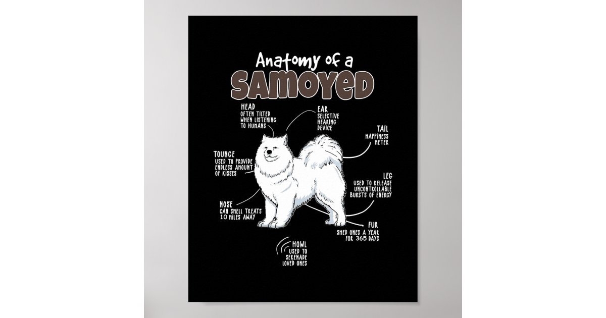 Anatomy of a Samoyed for Fur Mama Papa Loves Dogs Poster | Zazzle