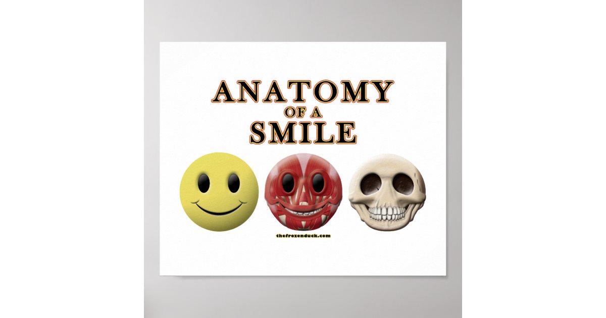 Anatomy of a Smile Poster | Zazzle