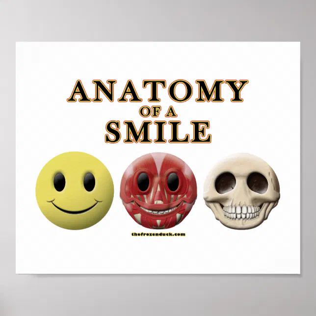 Anatomy of a Smile Poster | Zazzle