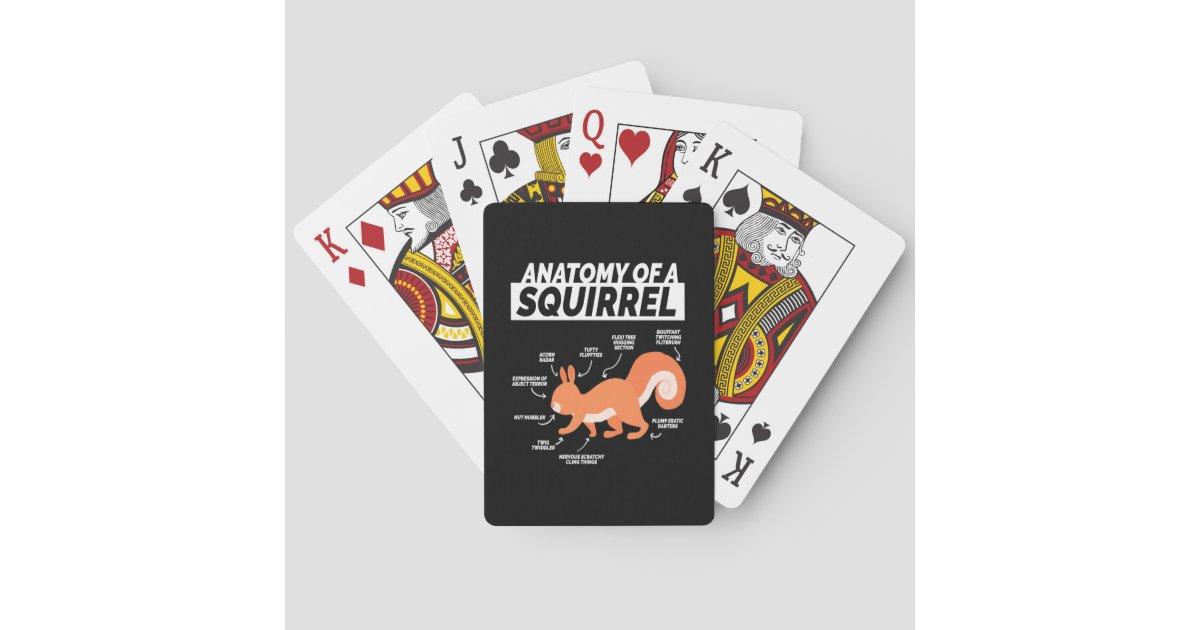 Anatomy Of A Squirrel Poker Cards | Zazzle