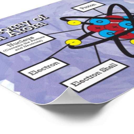 Anatomy of an Atom Poster | Zazzle