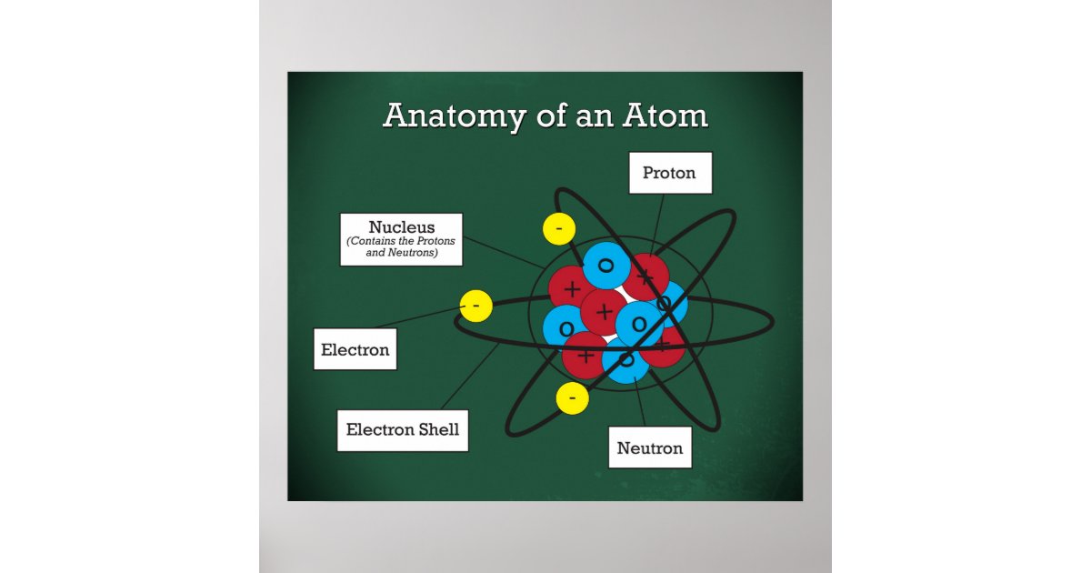Anatomy of an Atom *UPDATED* Poster | Zazzle