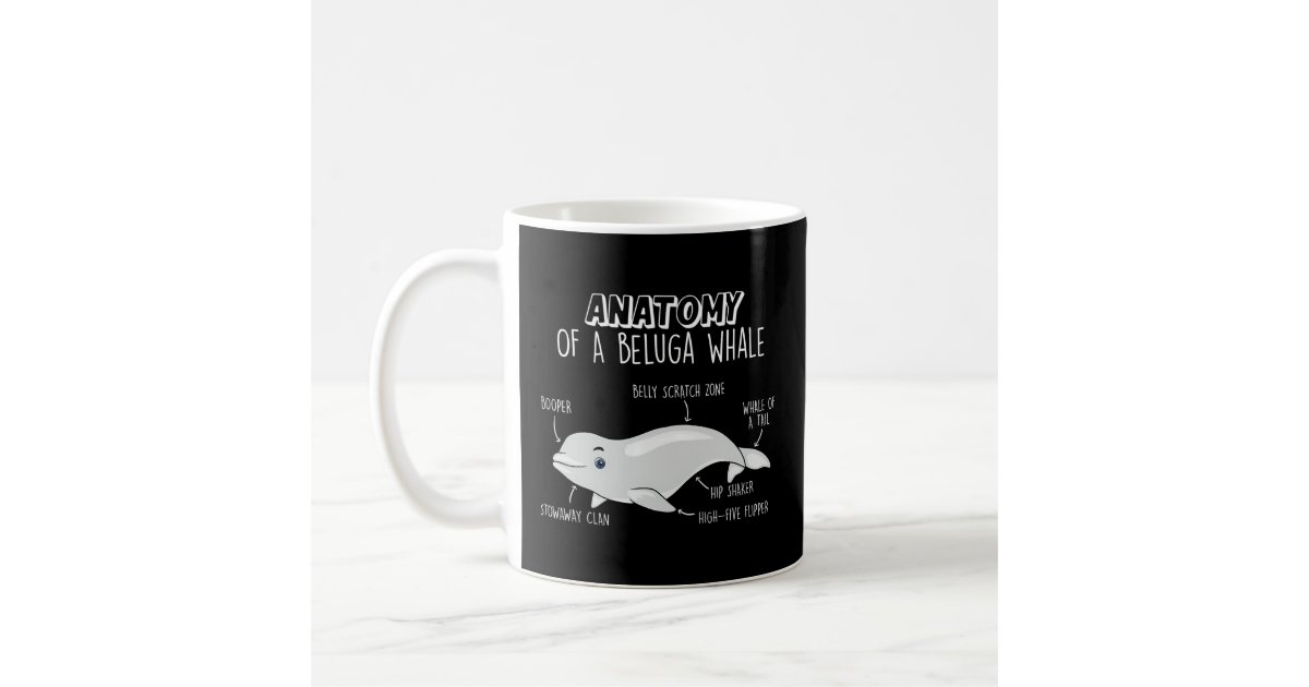 Anatomy Of Beluga Whale Coffee Mug | Zazzle