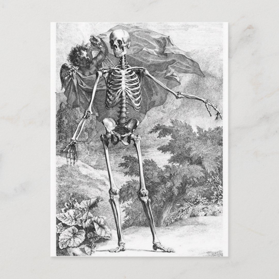 Anatomy of Death vintage woodcut postcard | Zazzle
