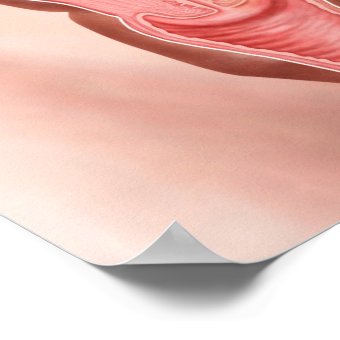 Anatomy Of Female Reproductive System 2 Poster | Zazzle