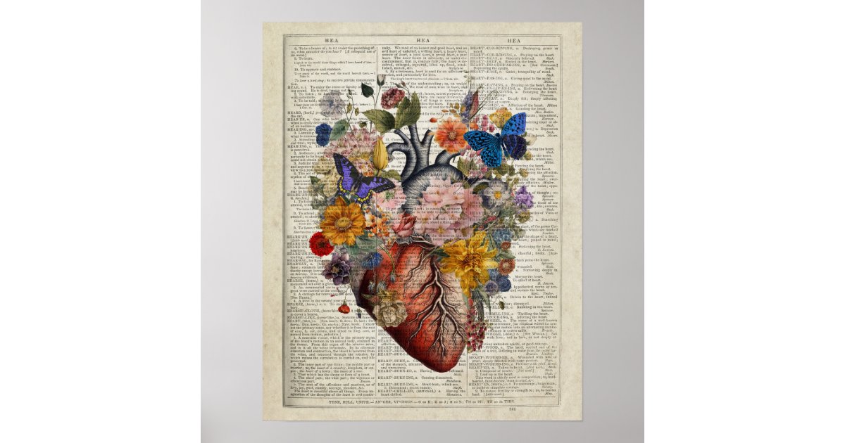 Anatomy of Human Heart with Flowers & Butterflies Poster | Zazzle