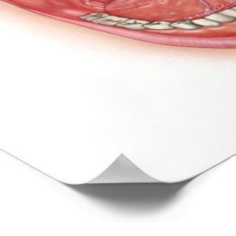 Anatomy Of Human Mouth Cavity Poster | Zazzle