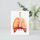 Anatomy Of Human Respiratory System, Front View Postcard | Zazzle